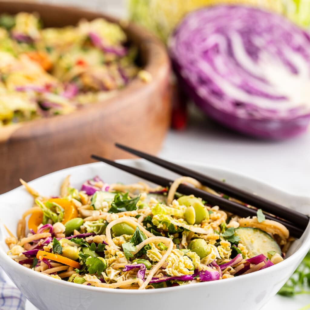 Keto Asian Rainbow Noodle Salad - Bobbi's Kozy Kitchen