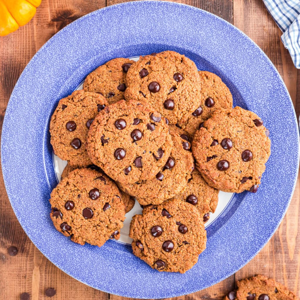 Low-Carb Pumpkin Chocolate Chip Cookies - Bobbi's Kozy Kitchen